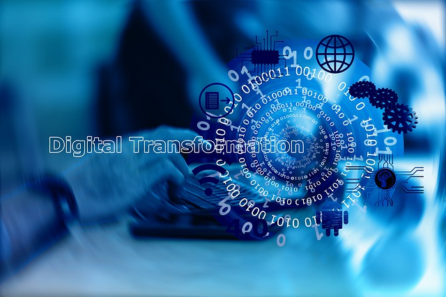 Digitalisation de votre entreprise : comment y procéder